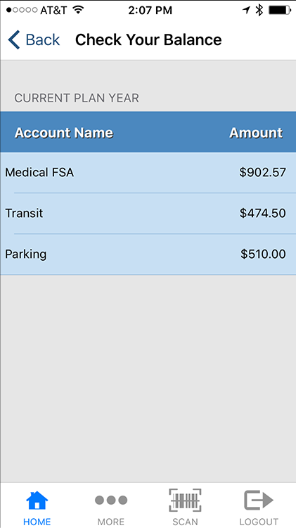 Check Your Balance - Walk Through | Benefit Resource, Inc.